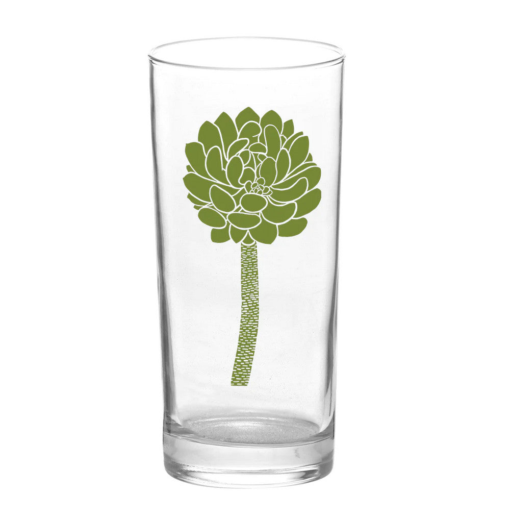 Green Succulent Garden Collins Glass Single – Kitchen Store at Allen ...