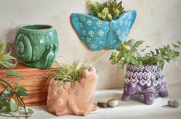 Terracotta Frog Planter – Kitchen Store at Allen & Petersen